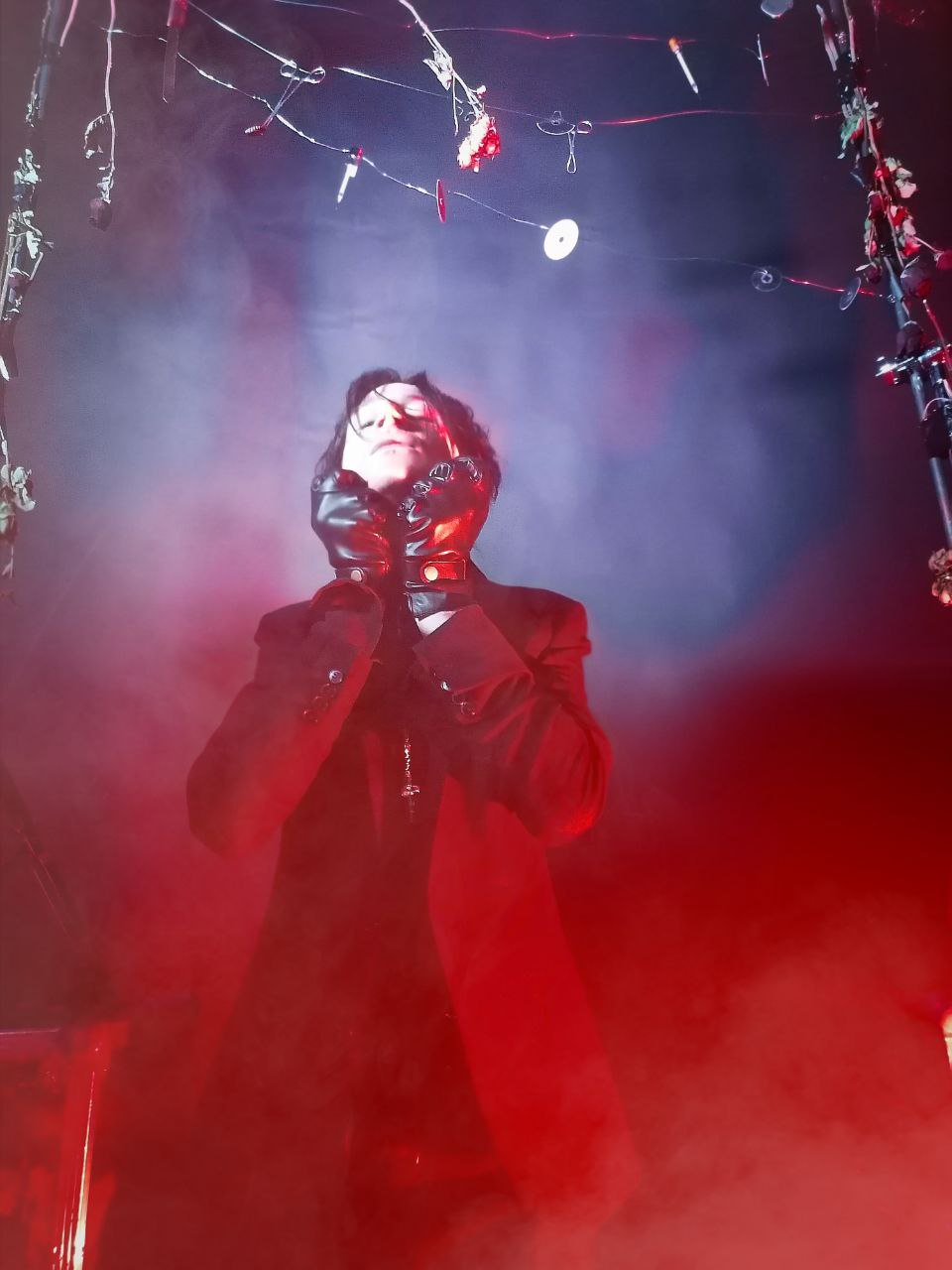 KOLLAPS | Swamp Booking