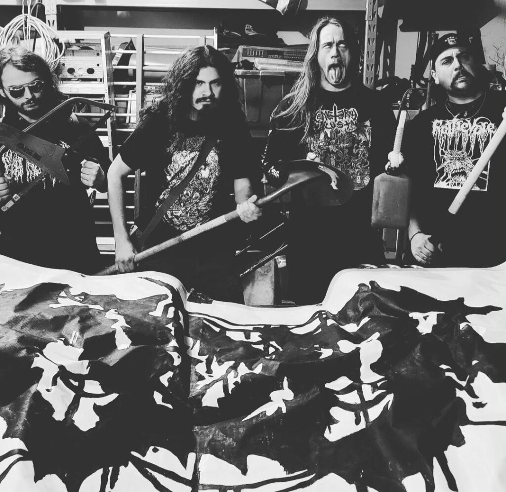 Molder | Swamp Booking